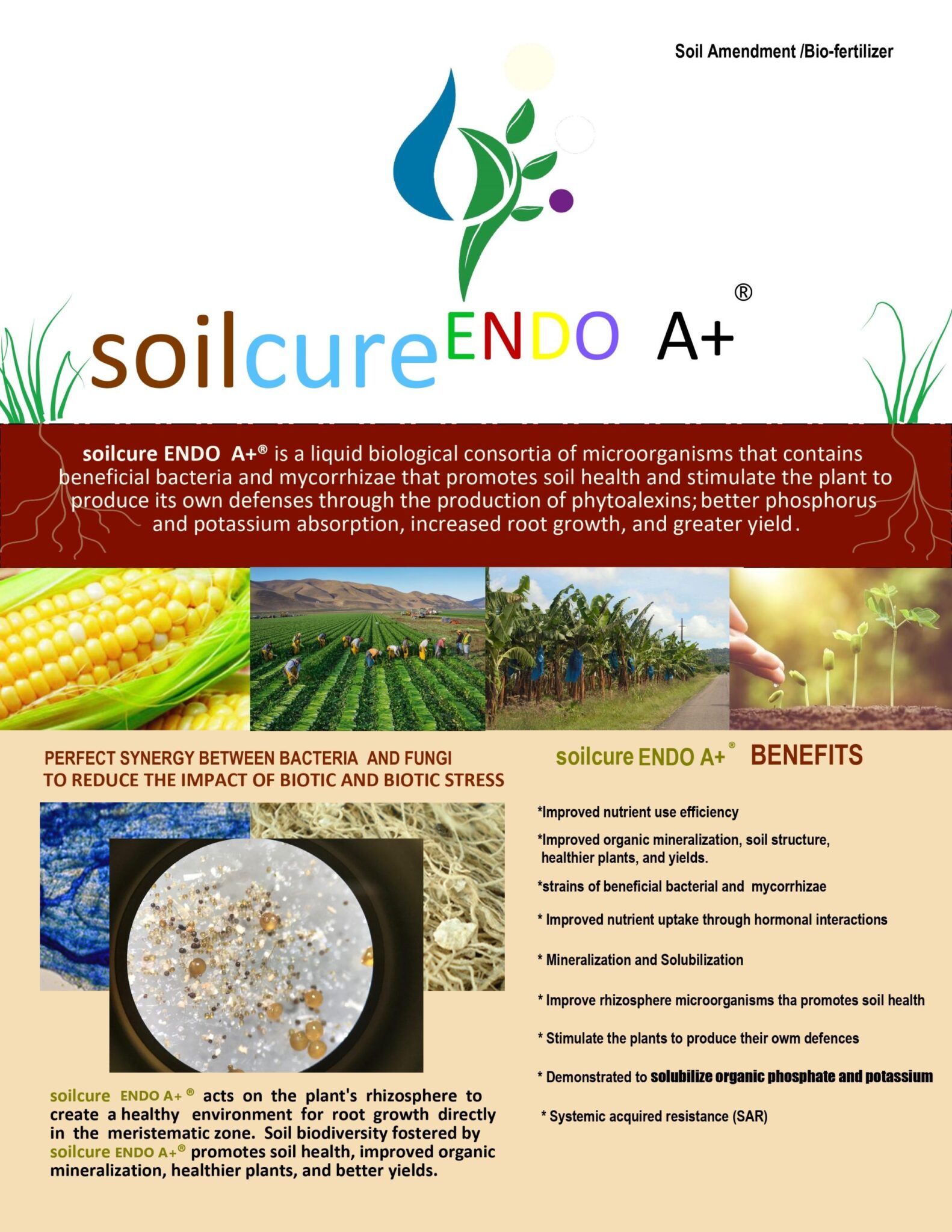soilcure ENDO A+® | Microbes BioSciences